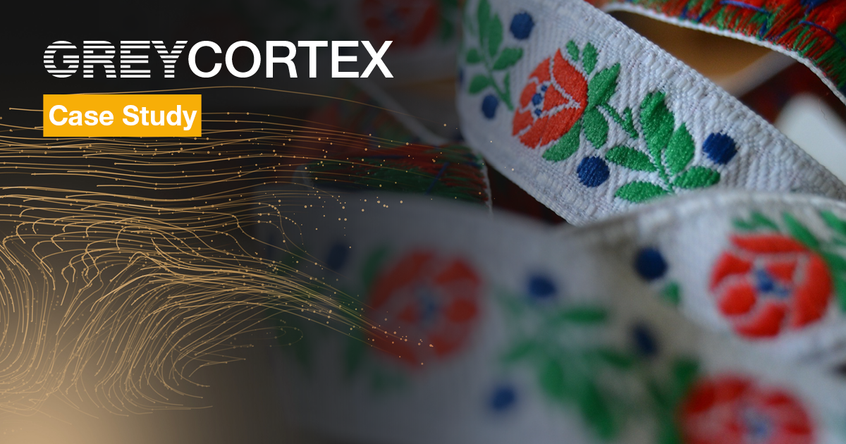 Uherské Hradiště Town | GREYCORTEX - Case Study